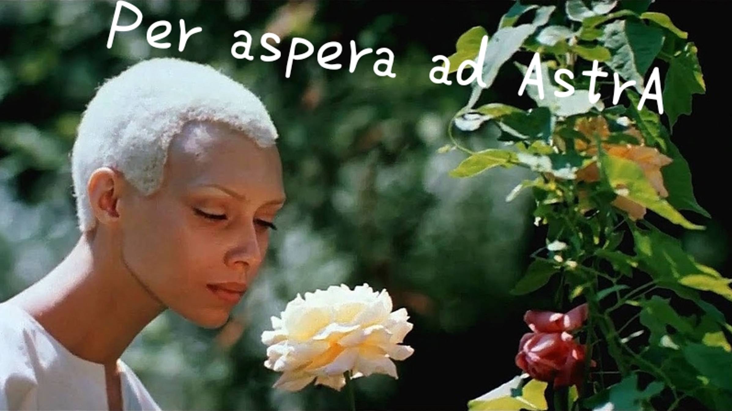 Через Тернии к Звёздам откровение Селестинской Тайны фильма