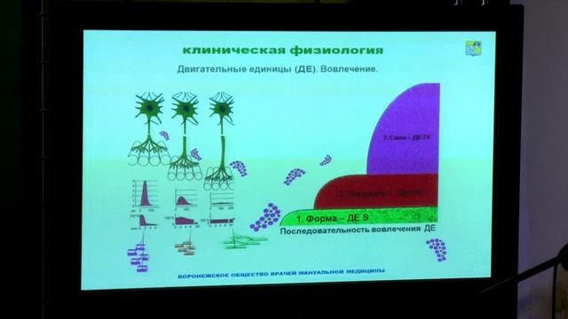 Фундаментальная и клиническая физиология - основа ортопедии ч1 Ортезы Криво Ю 701ч1