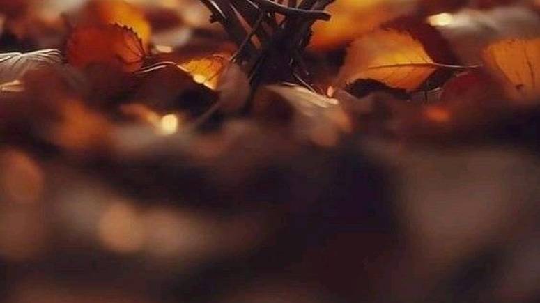 Удивительные истории из жизни - Короткие рассказы