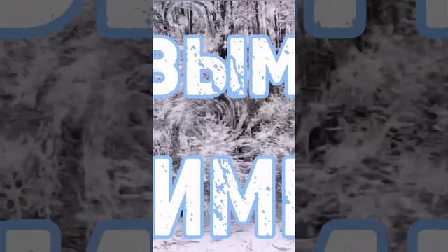 С первым днём зимы ❄️❄️❄️