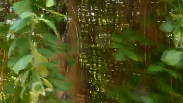 SHE'S ALWAYS A WOMAN TO ME