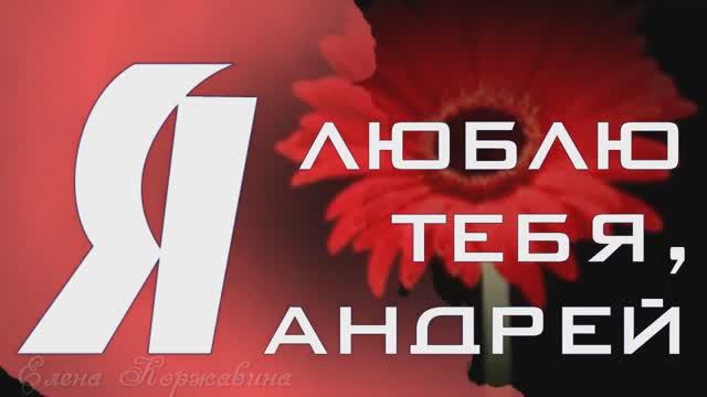 Я люблю тебя, Андрей!