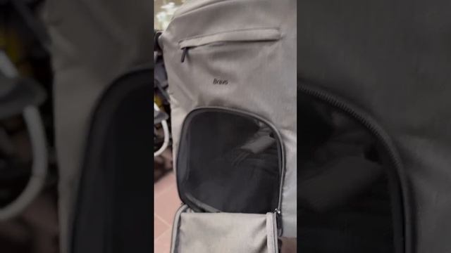 Обзор детская коляска Carrello Bravo Plus Мобильный КАРАПУЗ Детские коляски Каррелло Браво Плюс