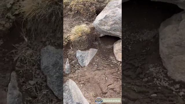 С Джилы-Су в северное Приэльбрусье