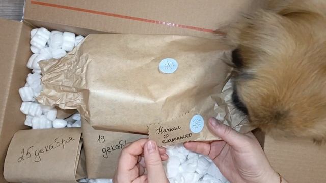 Vlogmas N1/Мой Адвент с @OlyKrokoz /Игра/Беру забытые процессы