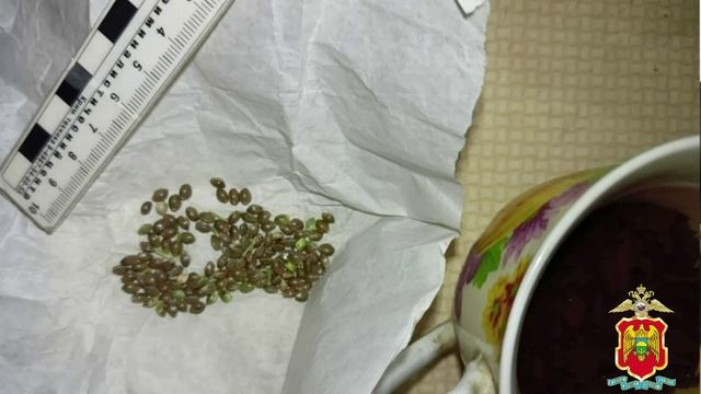 В Кабардино-Балкарии полицейские задержали подозреваемого в сбыте наркотиков