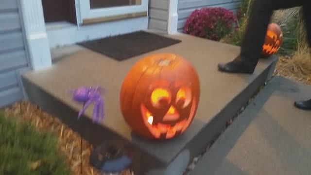 #США. Приключения Анны и Артёма.