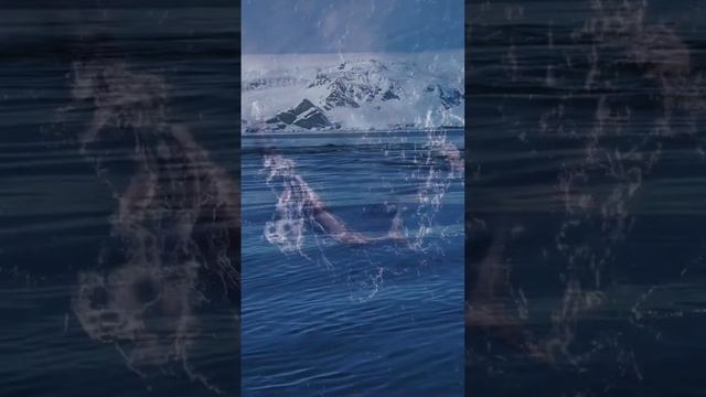 А вот и первое место! #животные #интересное