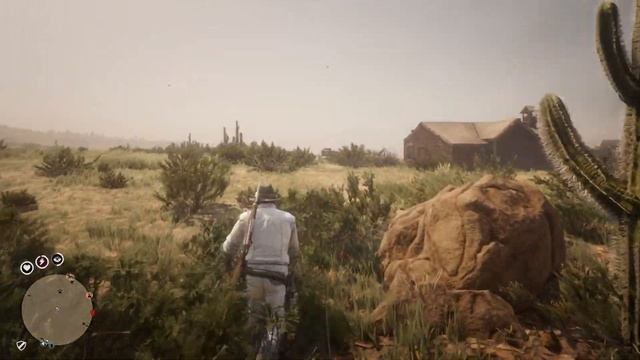 RDR 2 где найти Стервятника, где найти Гриб зонтик RDO