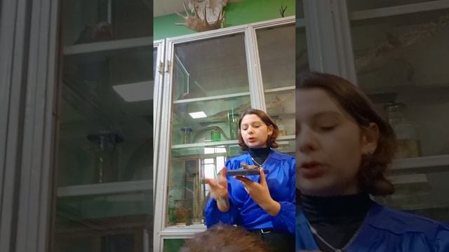 Вопросы по биологии