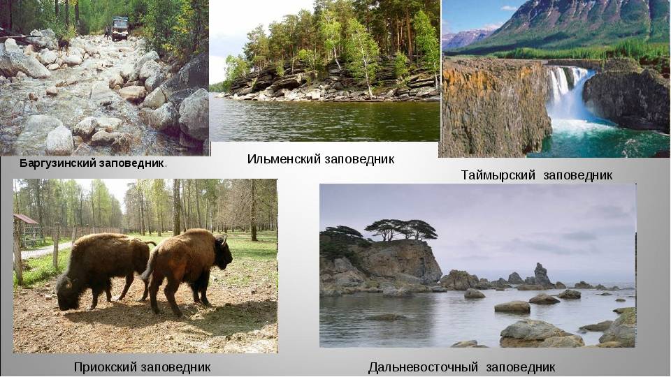 Stalker Online  К сев. - зап. от заповедника... ).