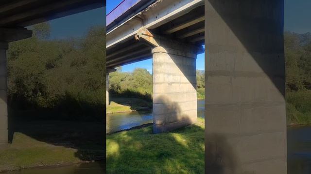 Жиздра. Антистапель д. Дретово. #сплав #водники #байдарка #жиздра #природа #путешествие #туризм