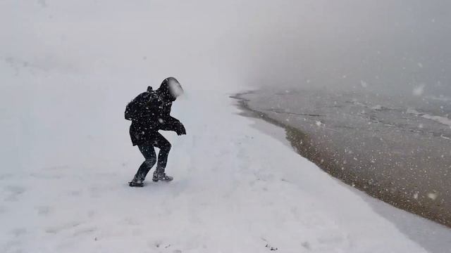 Тираннозавр в Анапе зимой на море.08.02.2020