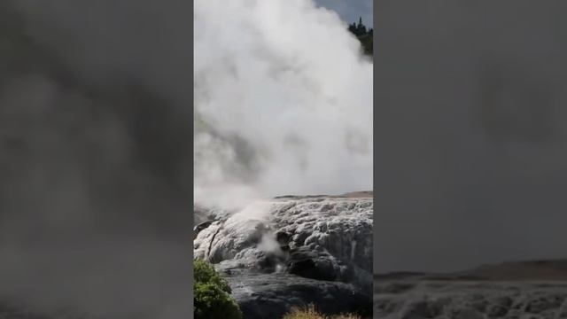 Новая Зеландия. Ловите сегодня ролики, про маленькую птичку с этих островов #путешествия