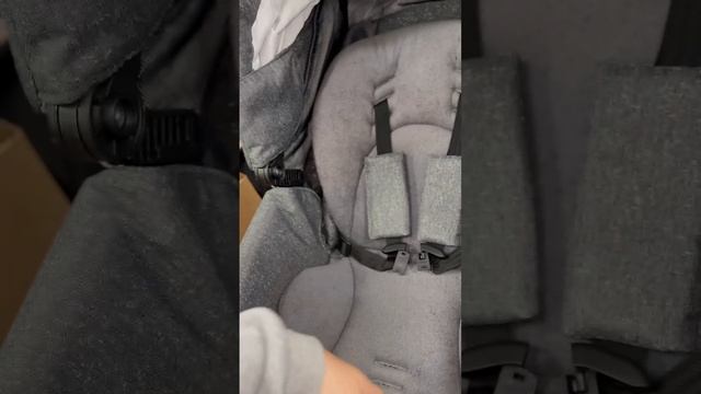 Обзор коляски Adamex Chantal Special Edition 2в1 Мобильный карапуз Детские коляски Адамекс Шанталь