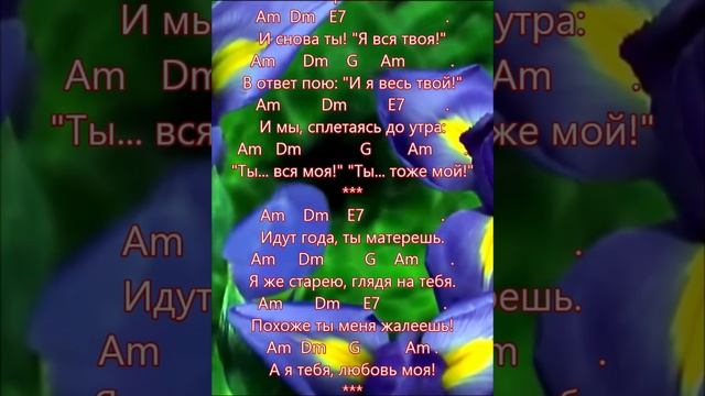 А. Кваша Романс  Am Ты тоже мой 2017 год
