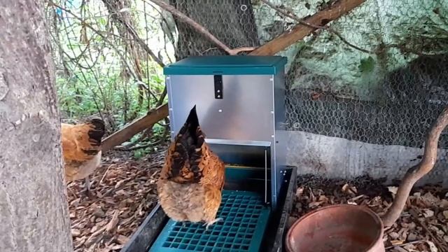 Кормушка педальная Feed O Matic