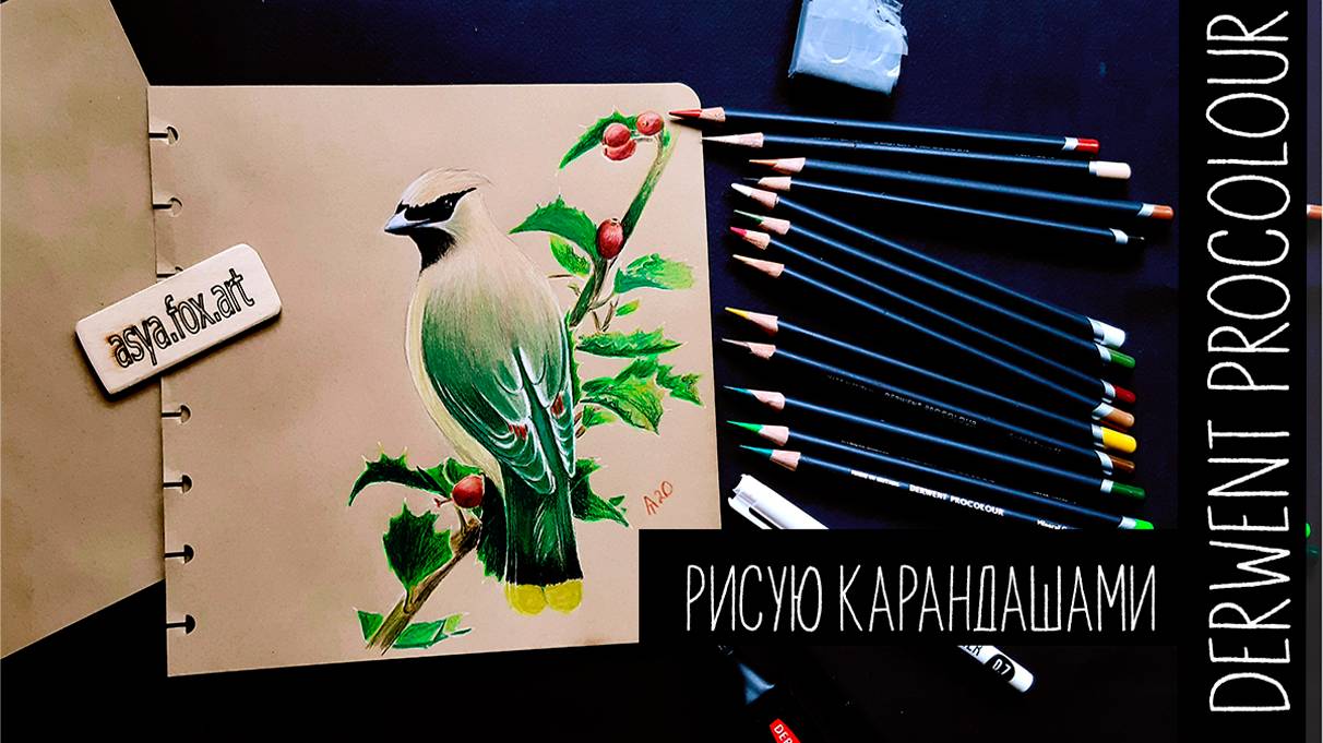 "Рисую птичку цветными карандашами"