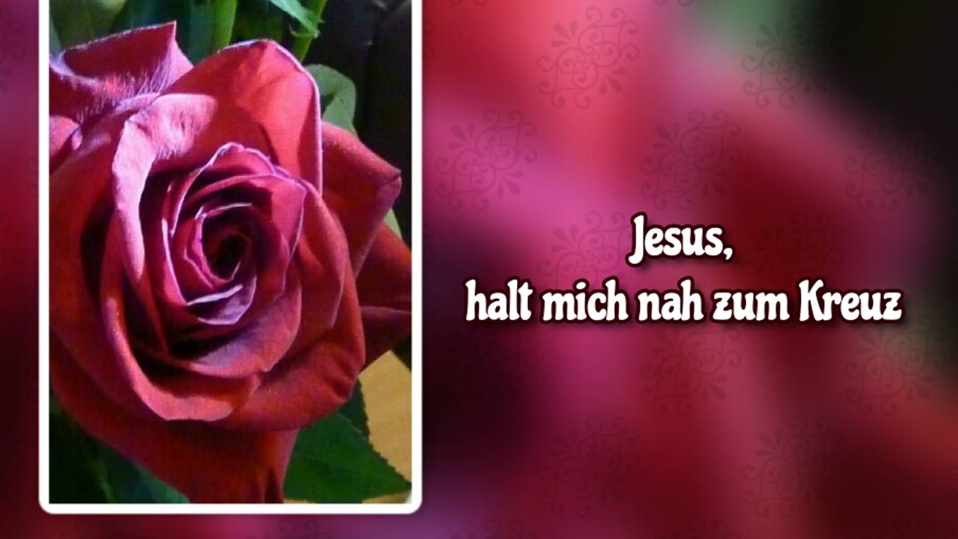 Jesus, halt mich nah zum Kreuz (-)