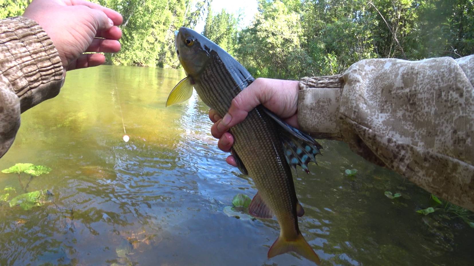ЧАТЬ 1/ ПОКЛЕВКИ КРУПНОГО ХАРИУСА НА ТАЕЖНОЙ РЕКЕ!!!УЛОВИСТЫЕ ПРИМАНКИ НА ХАРИУСА!