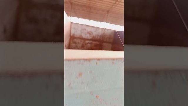 Прицеп 
2 птс4м экспресс-обзор от Константина Велигодского