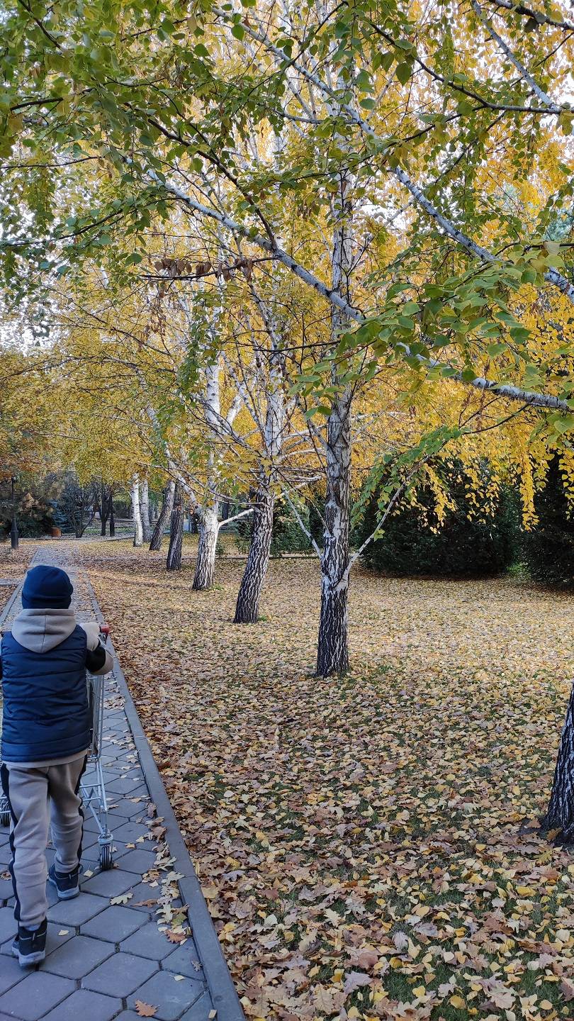 Клип про октябрь в Осинках