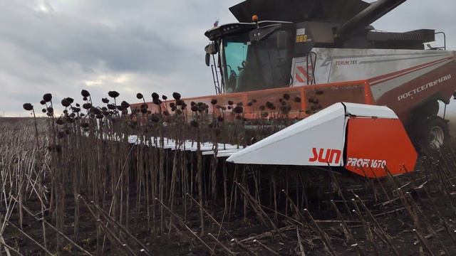 Уборка подсолнечника - 2022 г.