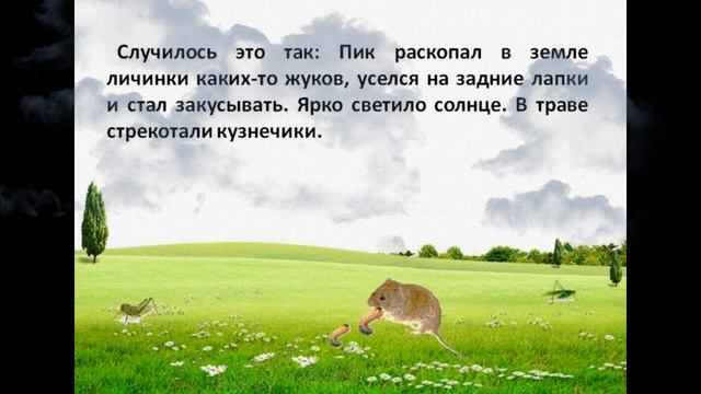 Виталий Бианки "Мышонок Пик". Глава 4. Хвост-цеплялка и шёрстка-неведимка.