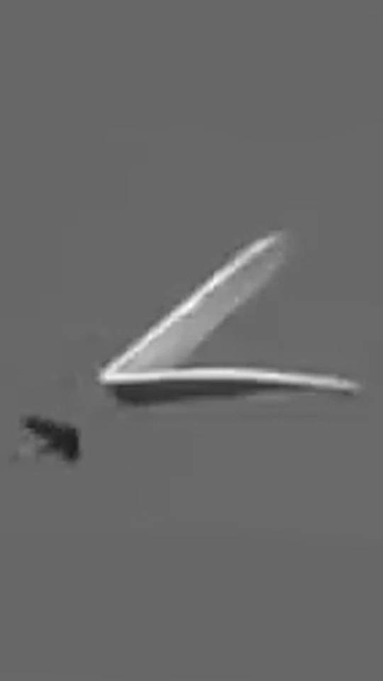 Контрабанда сигарет на дельтаплане