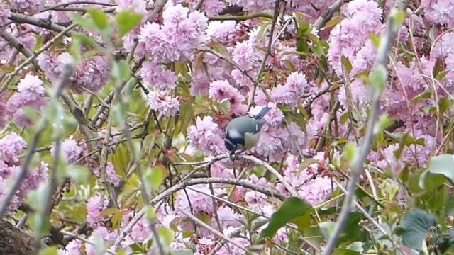 Нужно ли говорить все, что хочется