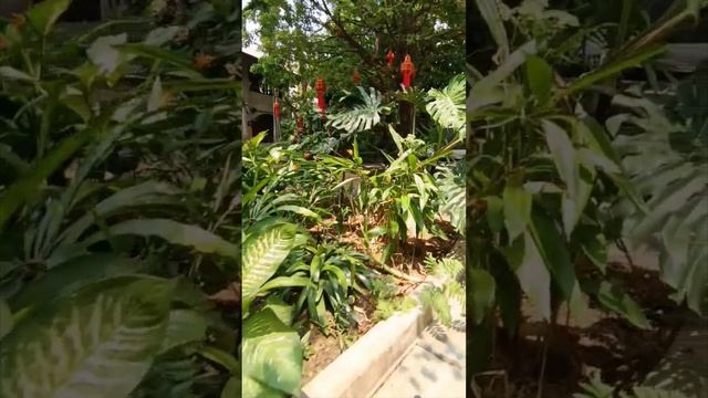 Bangkok Oasis Hotel. Таиланд сегодня.