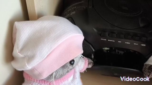 дело о пропавшем носке 🛸💡⏳🕰