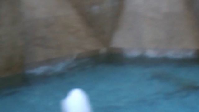 DSCN2056Ставрополь музей России, парк Патриот , парк ПОБЕДЫ ,музыкальные фонтаны