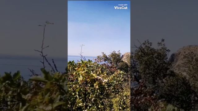 Мыс Фиолент