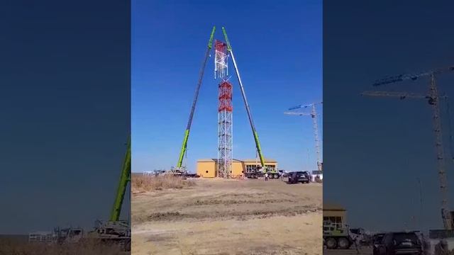 Видео WhatsApp 2024-11-02 в 10.55.30_92c160cd