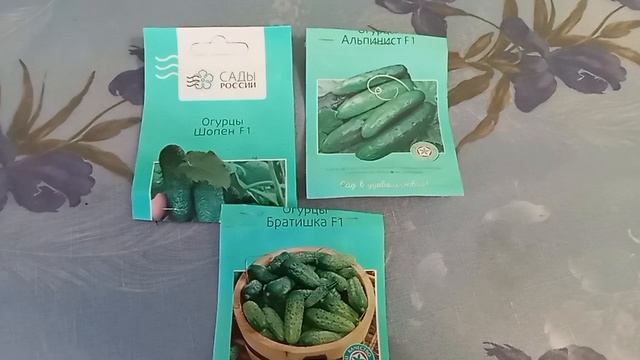 Буду сажать в 2025г🥒😊👍