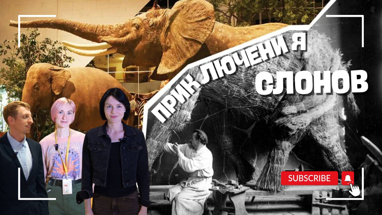Приключения слонов | История двух экспонатов государственного Дарвиновского музея