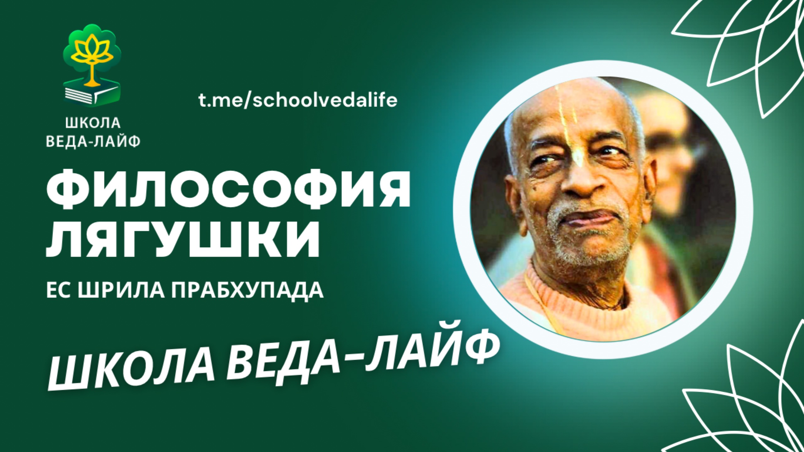 Философия лягушки