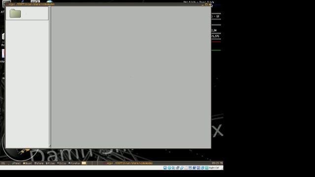 Damn Small Linux 4.11 - Показ ОС, серия 212