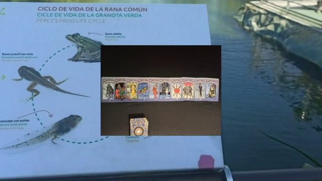 Смена профессии и места работы.