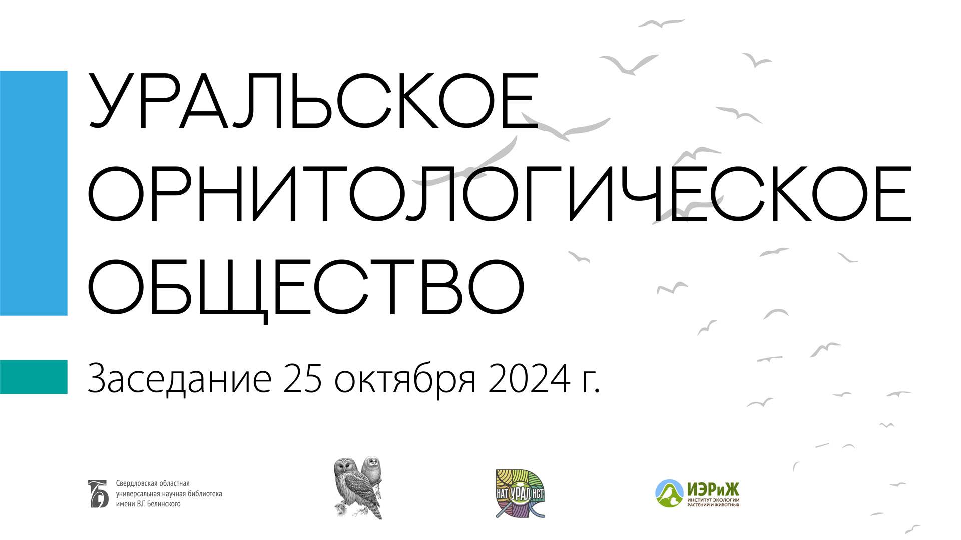 «Возвратная урбанизация кукушек в Екатеринбурге»: научный доклад  Светланы Мещерягиной