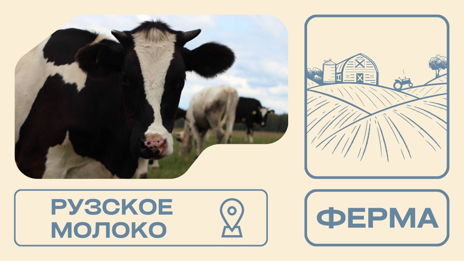 Рузское молоко. Ферма
