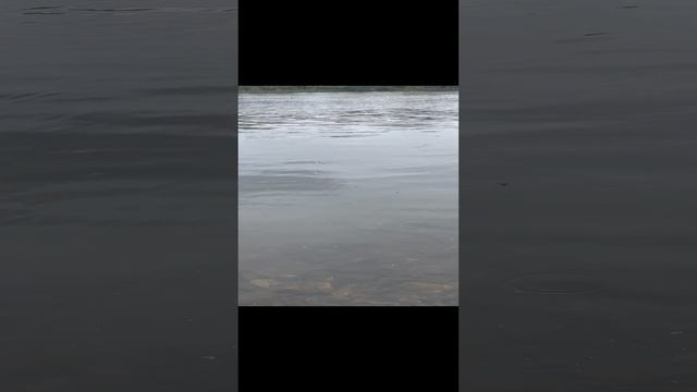 Все последний окунь и домой