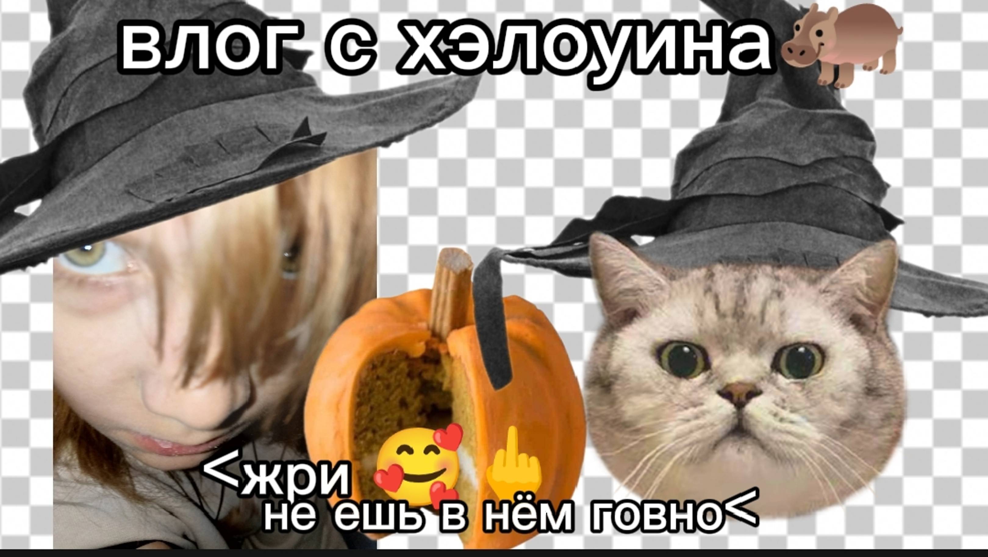 влог с Хэллоуина🐏/просто херня какая-то🌞