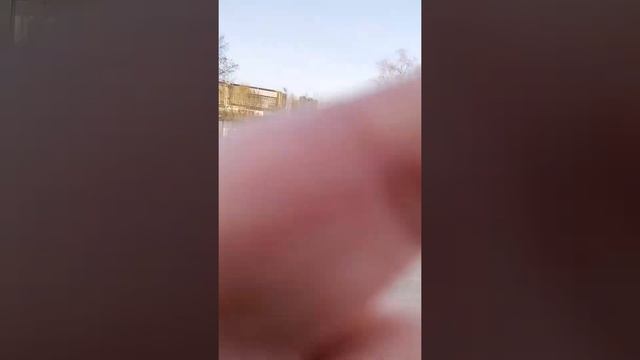 Коко Джамбо развеселился не нашутку.