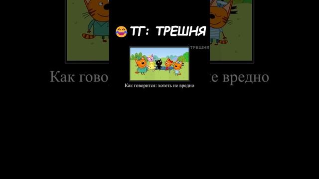 ПРИСТРЕЛИЛИ ЗУБ! 🫠 Муд Три кота демотиватор 184.
