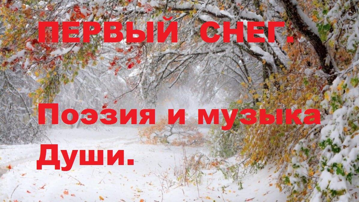 ПЕРВЫЙ СНЕГ. Автор стихотворения А. Соколов. Автор видео В. Голикова. Музыка В. Гурьева.
