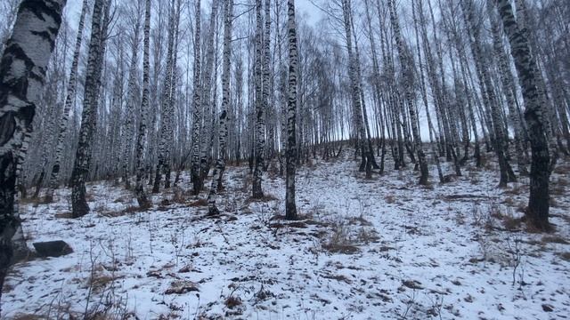Relax. Первый снег