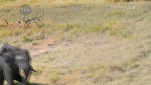 Эд Стэффорд Голое выживание 2 сезон 2 серия Ботсвана