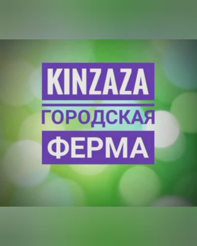 Городская ферма производства микрозелени, цветов KINZAZA, г. Севастополь